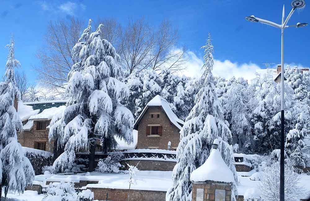 Ifrane: Qué ver, hacer y consejos… | Turismo Marruecos