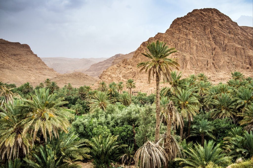Valle del Draa, antesala del Sahara | Turismo Marruecos