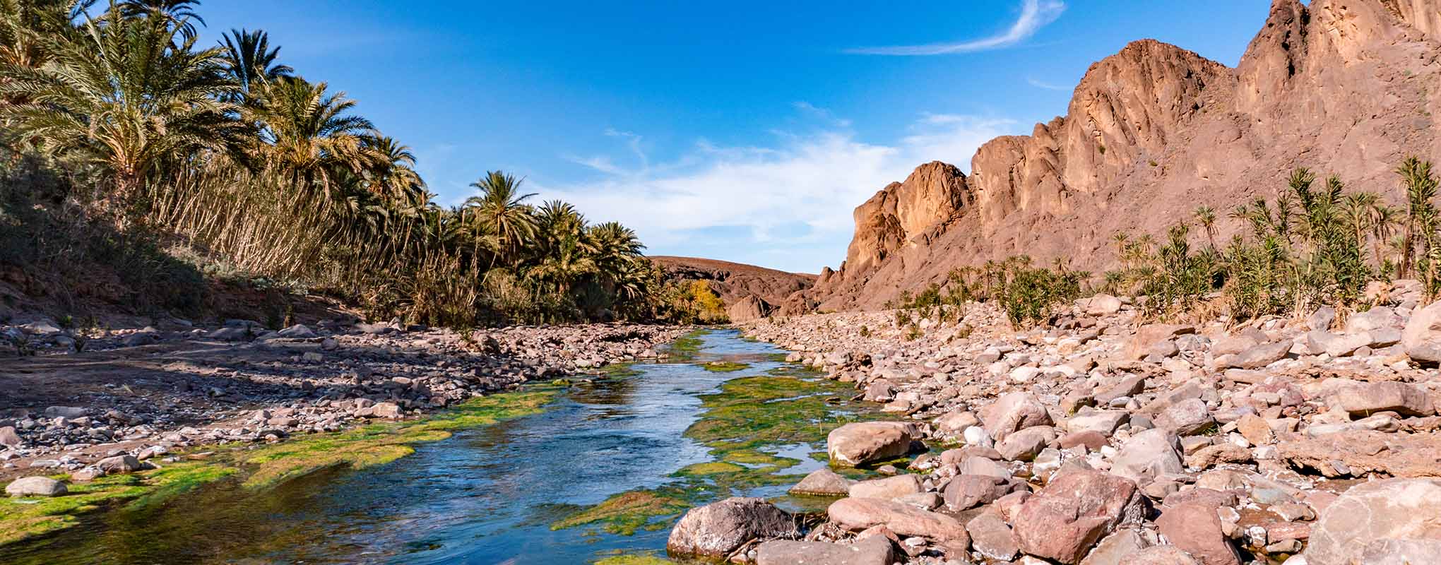 Oasis de Fint: Qué ver y hacer | Turismo Marruecos